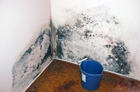 Arreglar Y Reparar Humedades De Superficies Pavimentos Pavipor